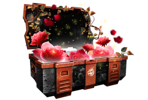 CS2 (CS:GO) Case Opening Website | Open CS2 Cases for Exclusive Skins