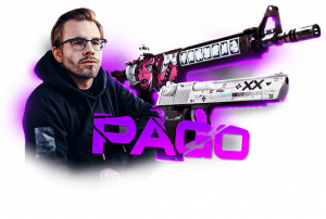 AWP | PAW Skin | CS2, Rust, Dota 2 Items