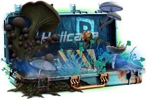 AK-47 | Vulcan Skin | CS2, Rust, Dota 2 Items