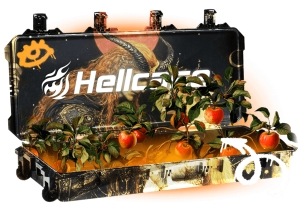 Relativity - Buy cases on Hellcase